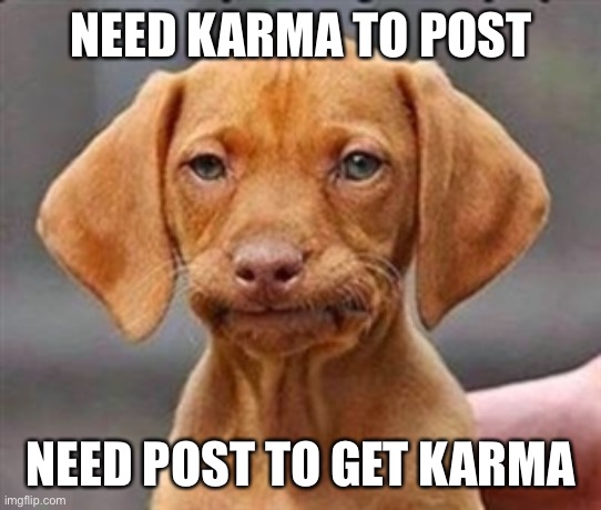 Frustrated dog - Imgflip