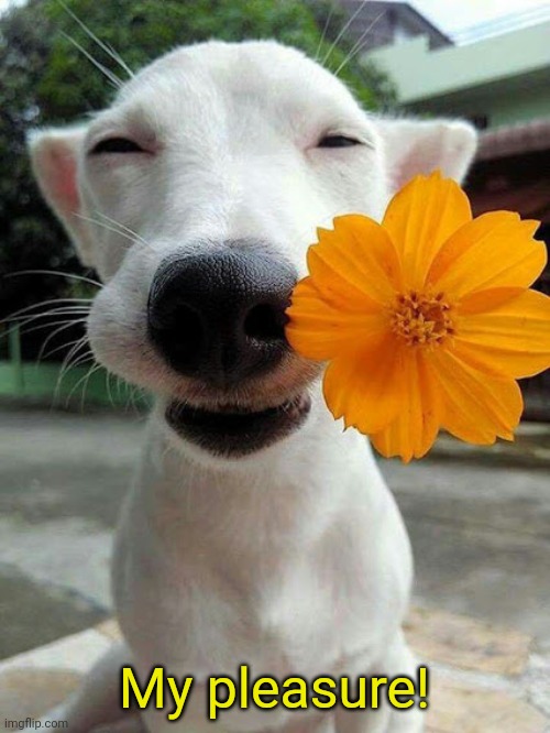 I’m going offline, have a nice day - Imgflip