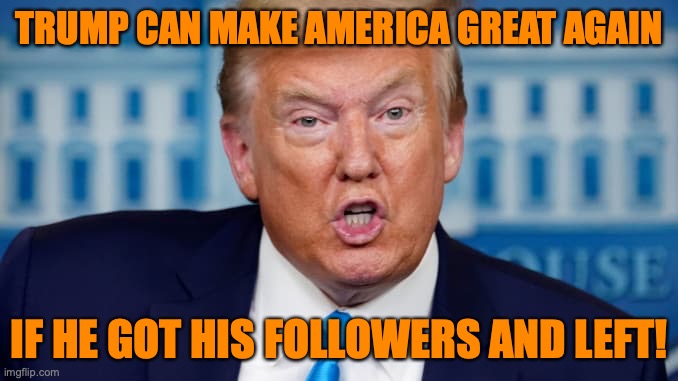 I mean... it would make America great again - Imgflip