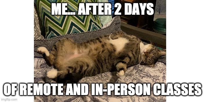 Remote and in-person classes - Imgflip