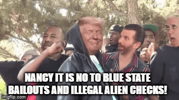 Nancy it is no to blue state bailouts and illegal alien checks. - Imgflip