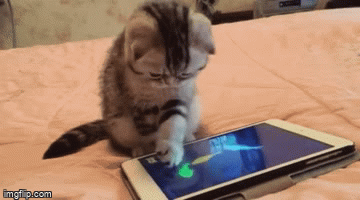 The cat playing with the iphone - Imgflip