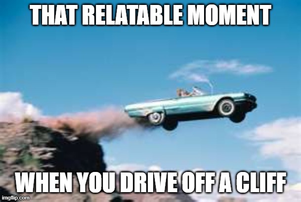 when you drive off a cliff - Imgflip