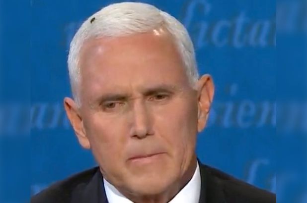 Pence Fly Blank Template Imgflip