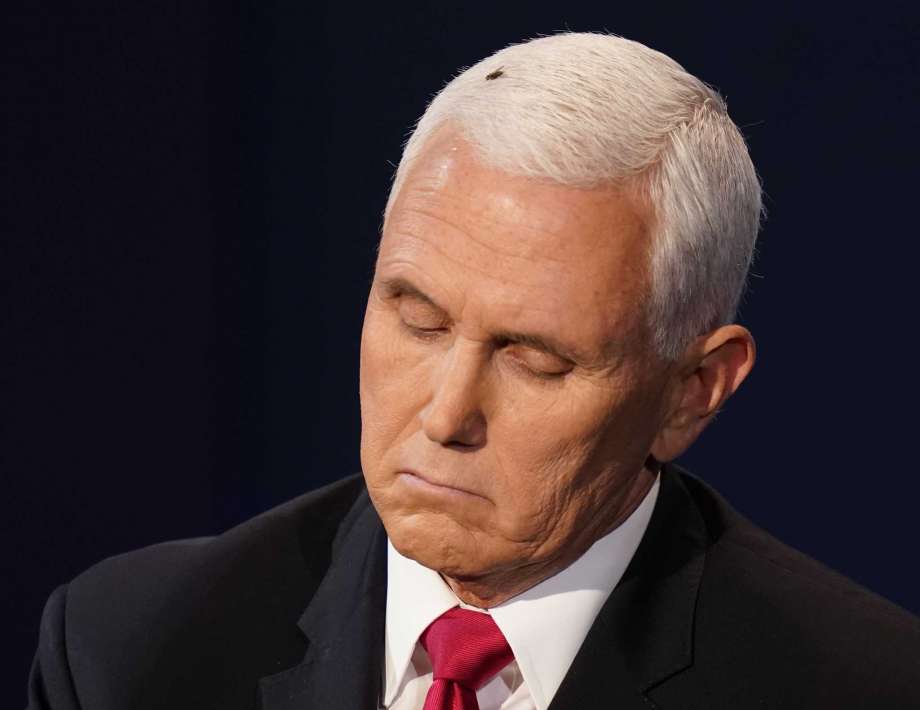 Pence Fly Blank Template Imgflip