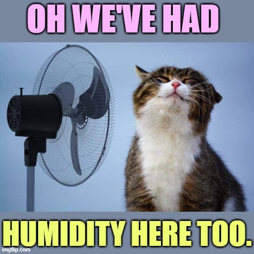 1forpeace's Profile - Imgflip