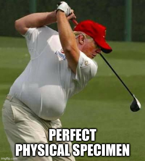 PeRfEcT pHySiCaL sPeCiMeN - Imgflip