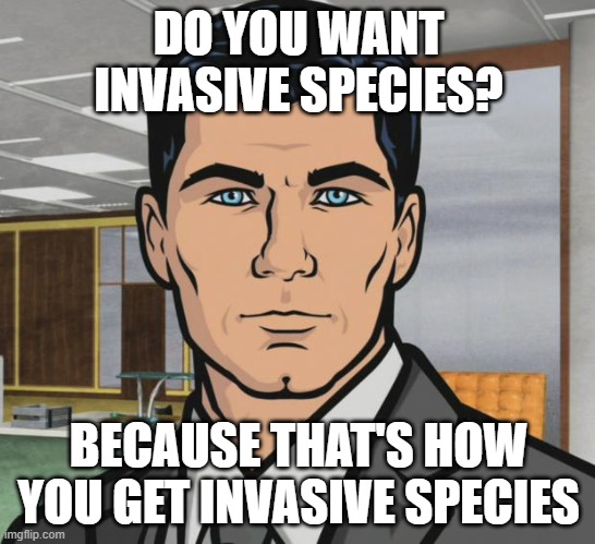 Archer Meme - Imgflip