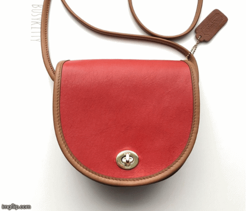 Animated GIF - Imgflip