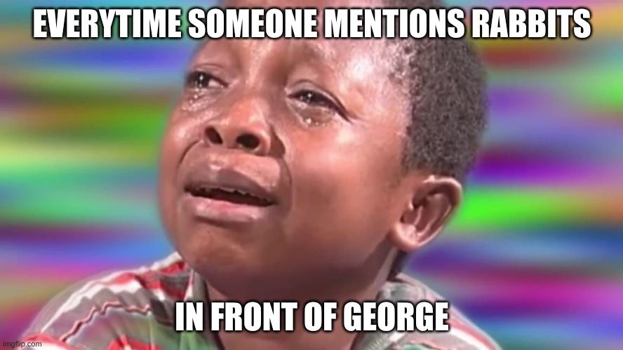 Custom Image - Imgflip