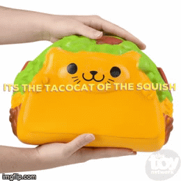 hello tacocat of the squish - Imgflip
