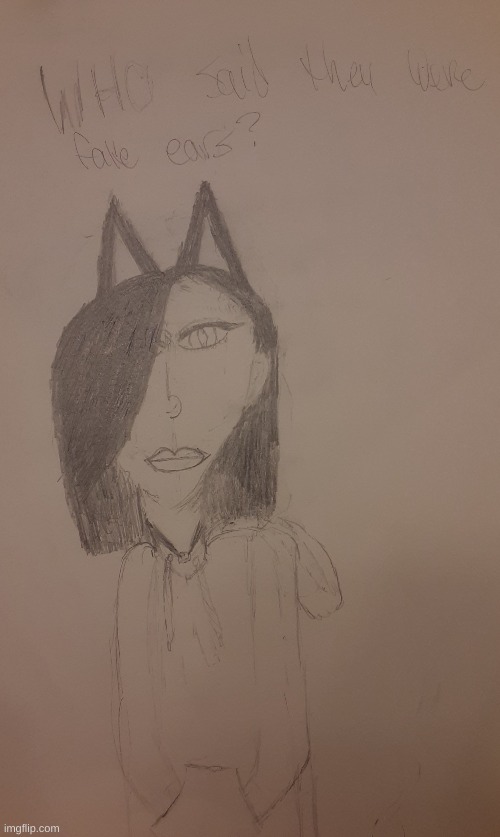 Another bad looking drawing but here ya go. - Imgflip