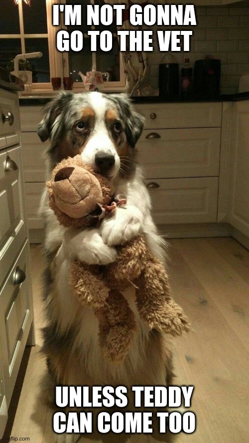 Scared puppy - Imgflip