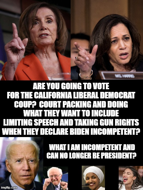 Are You Going To Vote For The California Liberal Democrat Coup? - Imgflip