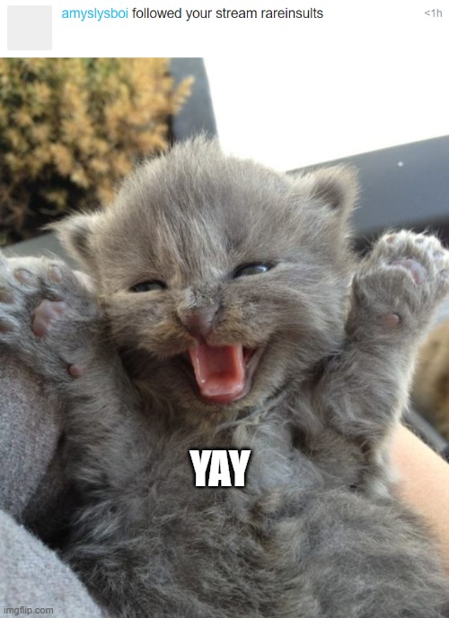 finally someone follow rareinsults - Imgflip