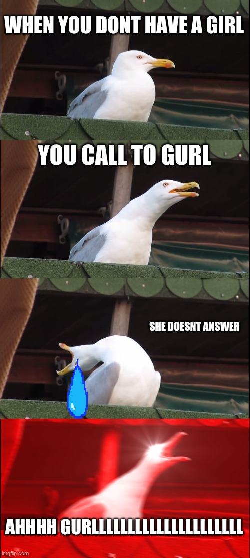where is my gurl? - Imgflip