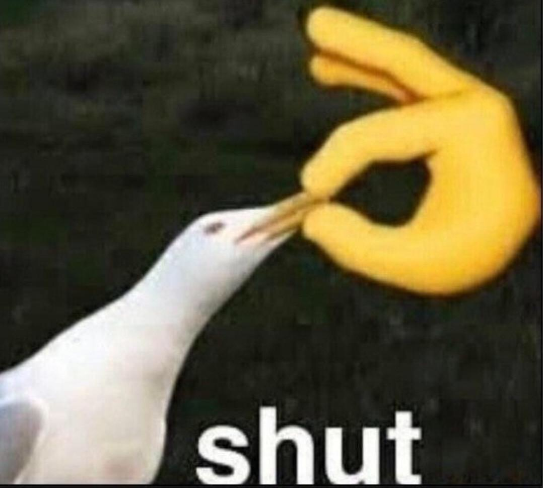Seagull Shut Meme Blank Template Imgflip