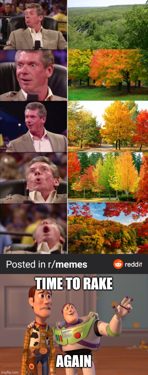 Image tagged in memes,x x everywhere - Imgflip