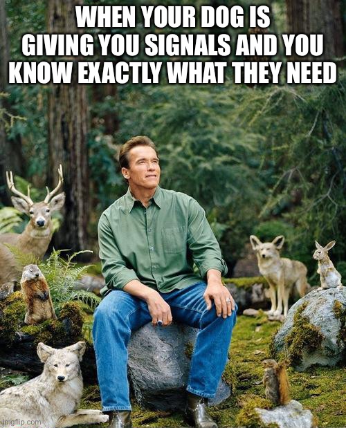 schwarzenegger in the woods with animals - Imgflip