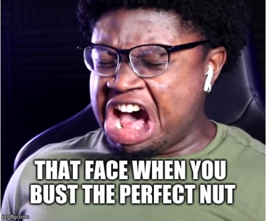 The perfect nut - Imgflip