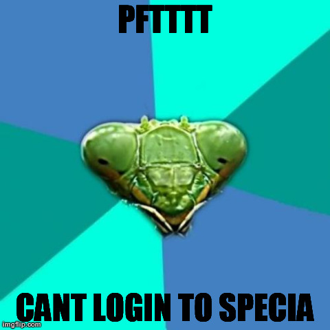 Crazy Girlfriend Praying Mantis Meme - Imgflip