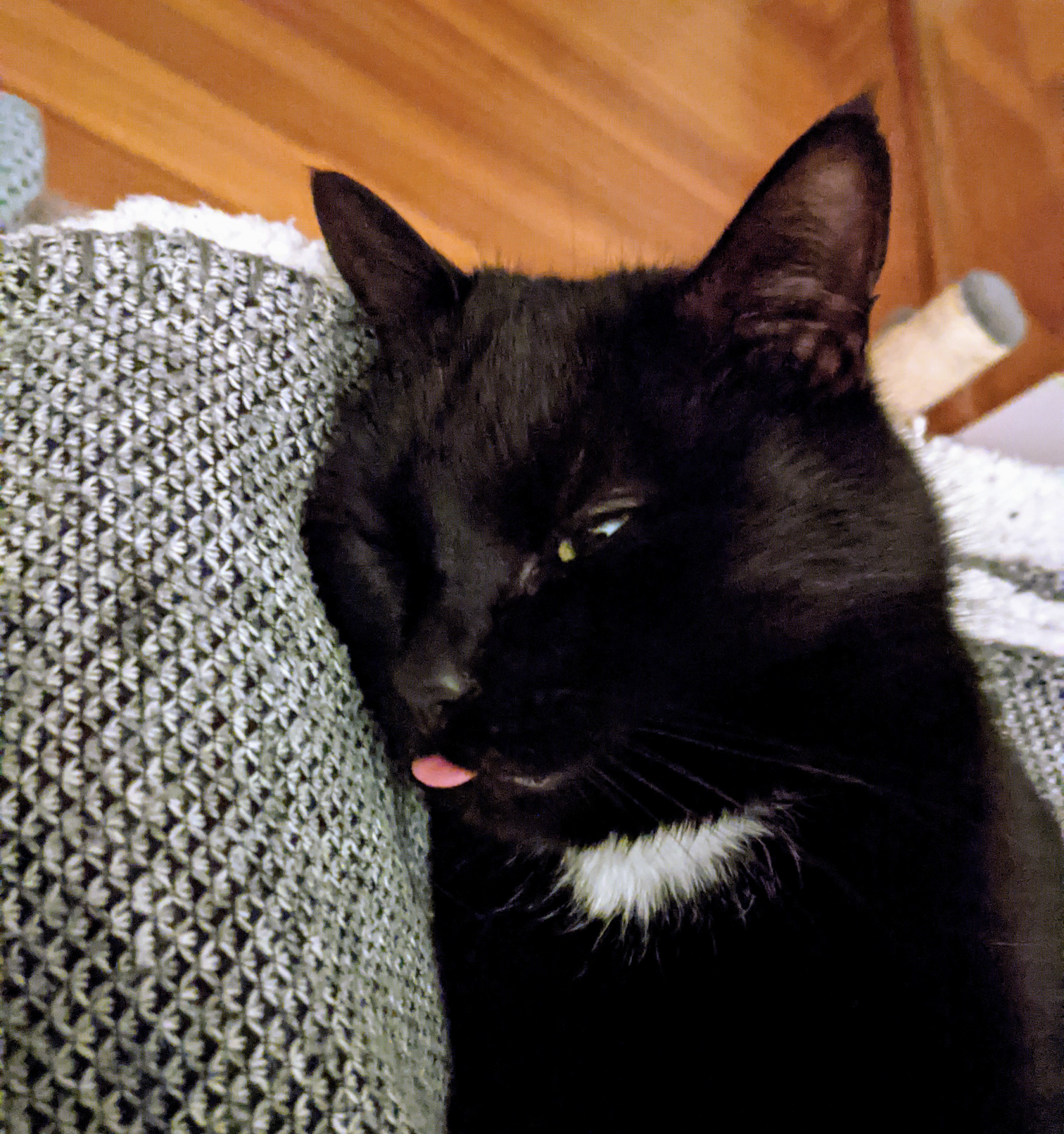 One cone too many Blank Template - Imgflip