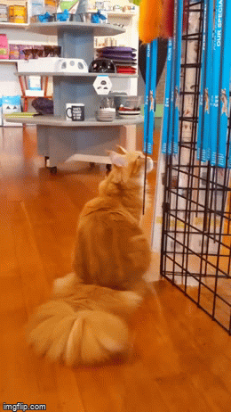 Lookie no touchie peasant... - Imgflip