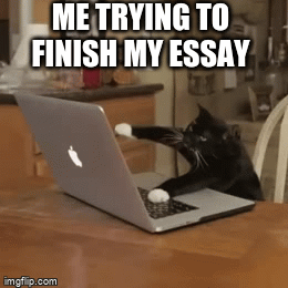 essay time - Imgflip