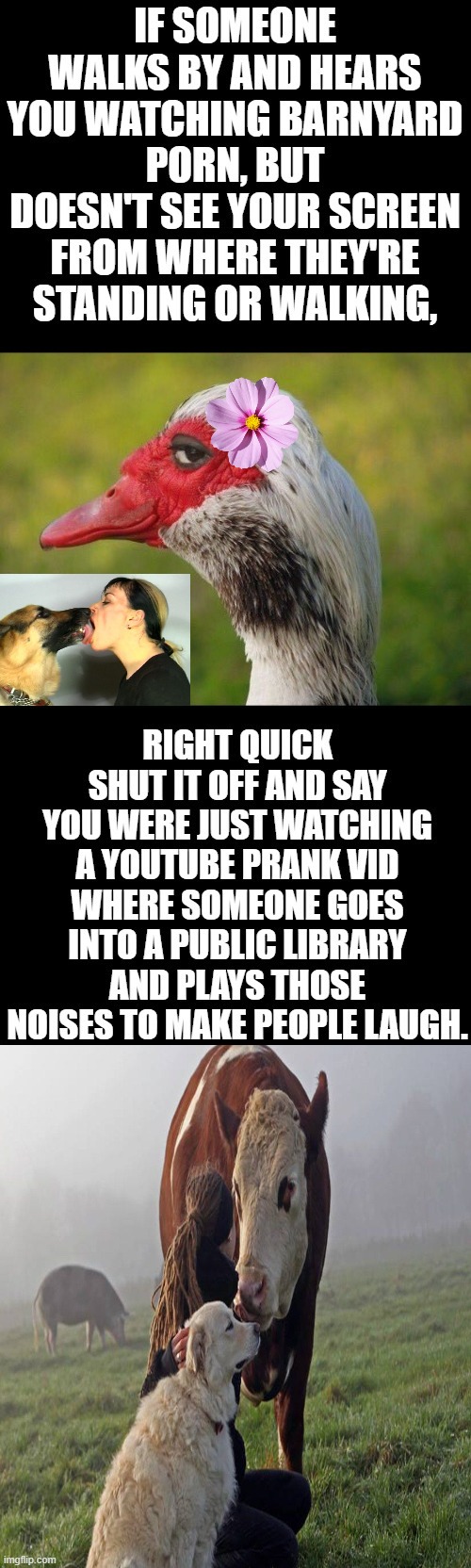 some quick thinkers be like - Imgflip
