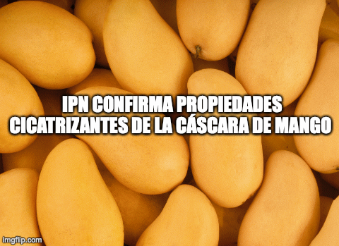 Image tagged in gifs,mango,ipn - Imgflip