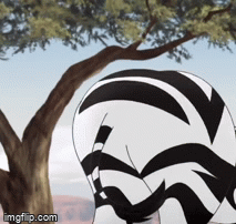 Zebra Stuck - Imgflip