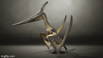 Pterodactyl gif - Imgflip
