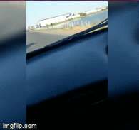 Rido With Fido - Imgflip