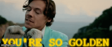 youre so golden hs - Imgflip