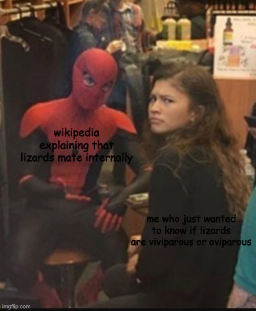 Spiderman explaining to zendaya - Imgflip