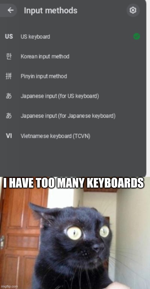 Image tagged in scared cat - Imgflip