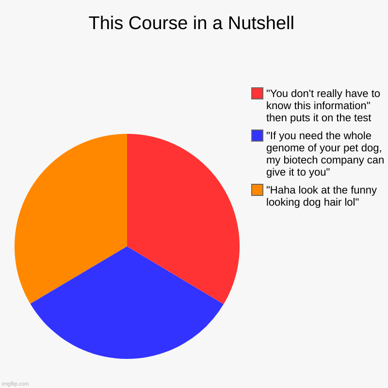 This Course in a Nutshell - Imgflip