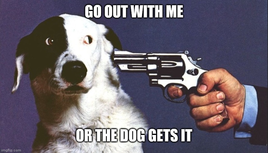 or the dog gets it - Imgflip