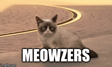 grumpy cat meows - Imgflip