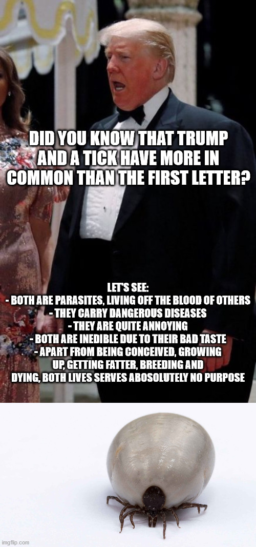 Biology 101 - Imgflip