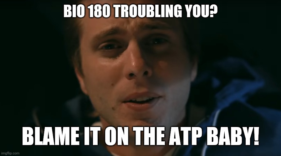 Custom Image - Imgflip