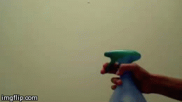 Animated GIF - Imgflip