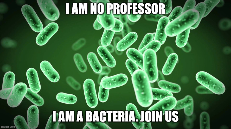 Aragren's Profile - Imgflip