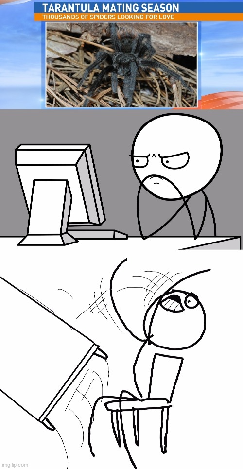 I'm done with this - Imgflip