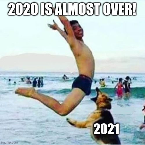 Man jumping into dog bite - Imgflip