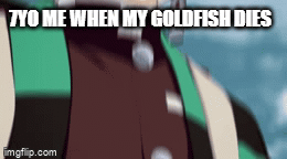 R.I.P Mr. Goldie - Imgflip