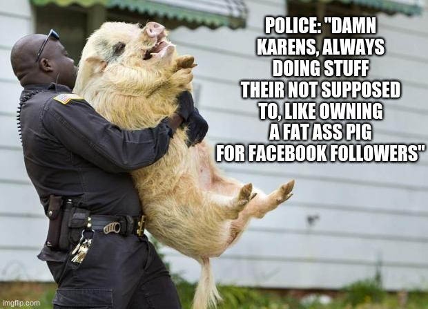 arrested pig - Imgflip