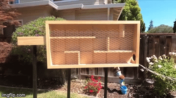 squirrels obstacle course - Imgflip