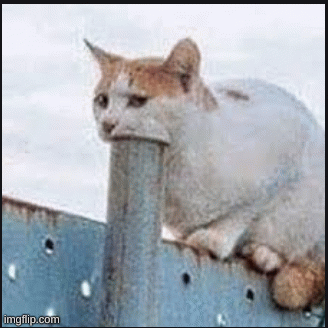 cursed images #6 - Imgflip