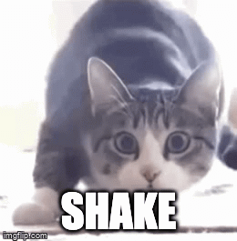 When you wanna shake - Imgflip